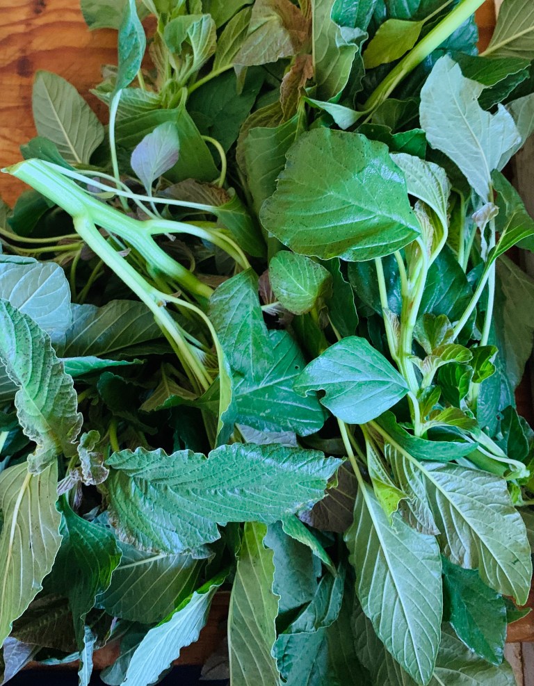 Vlita – Boiled Amaranth Greens – on xenia street