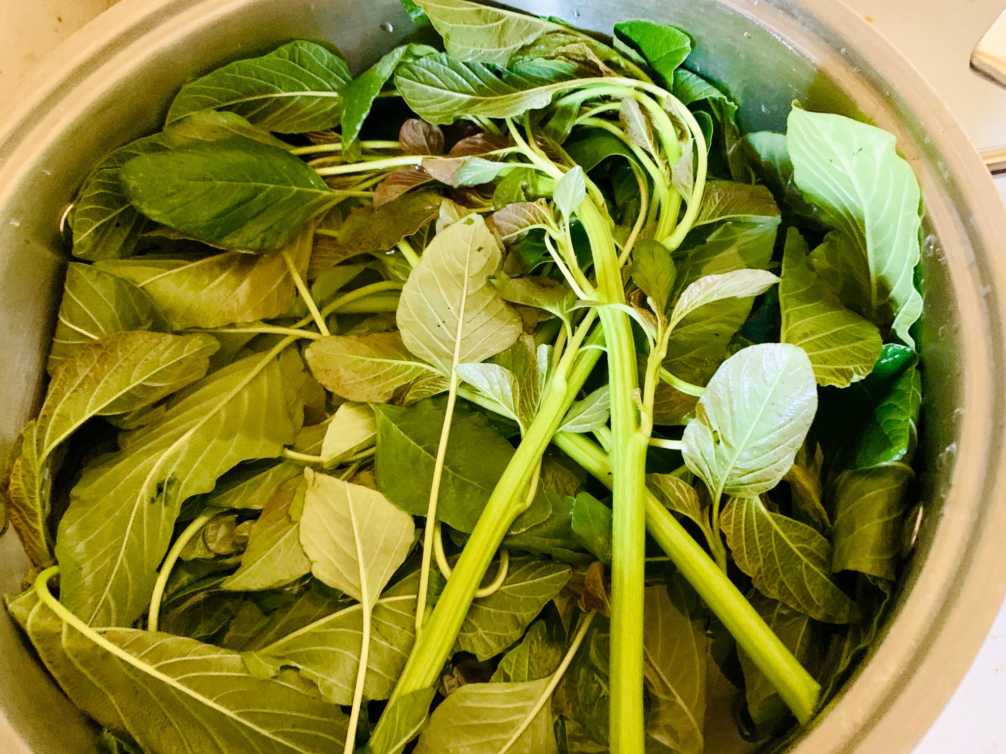 Vlita – Boiled Amaranth Greens – on xenia street