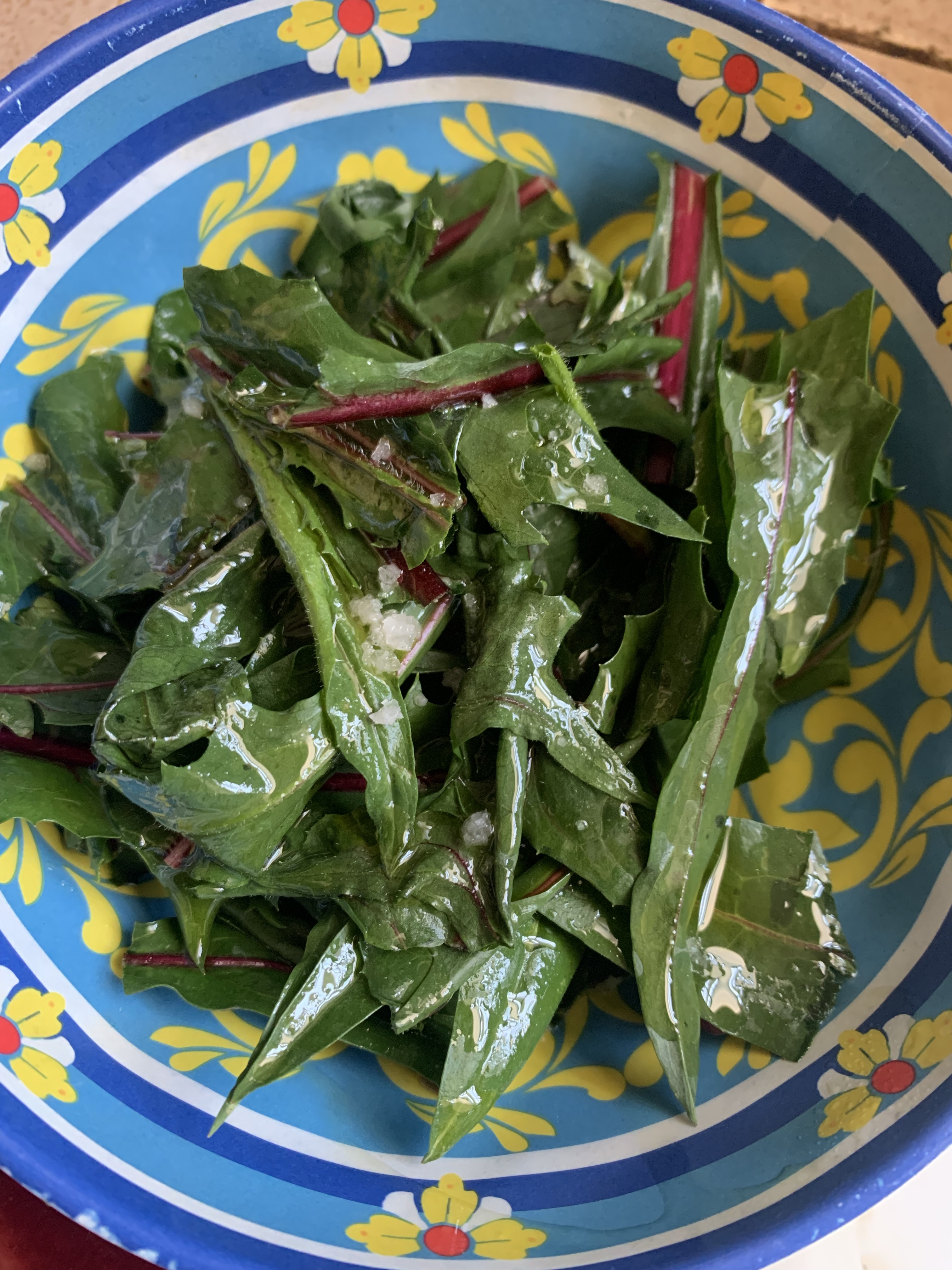 Radikia – Red Dandelion Greens – on xenia street